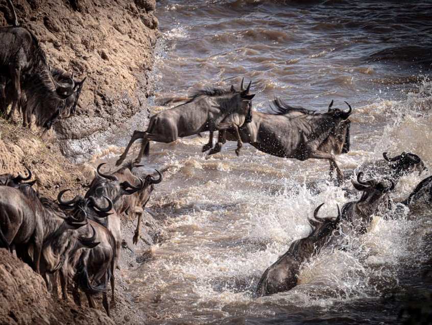 03 NIGHTS 04 DAYS MASAI MARA SAFARI - Vacations Quest- Vacation Deals ...